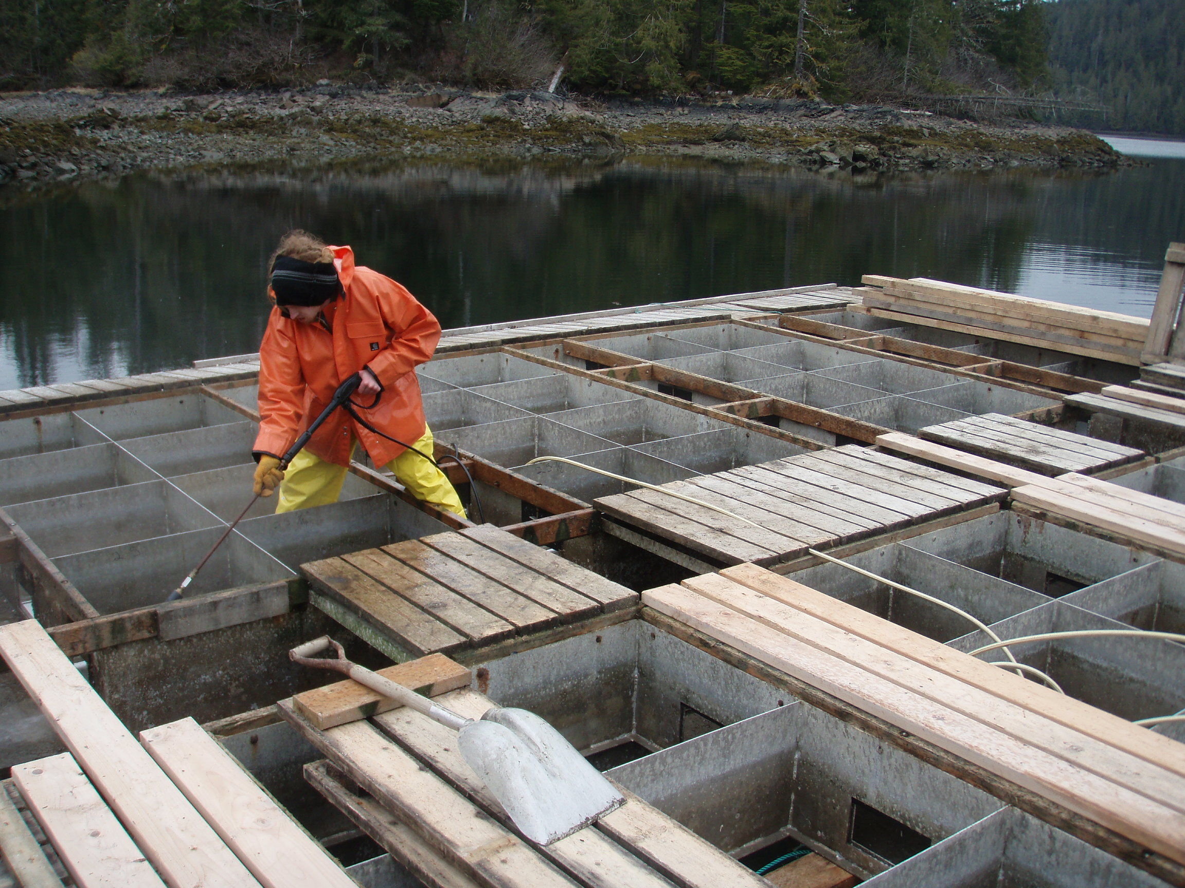 Moving our first FLUPSY in 2013 – Blue Starr Oyster Co.