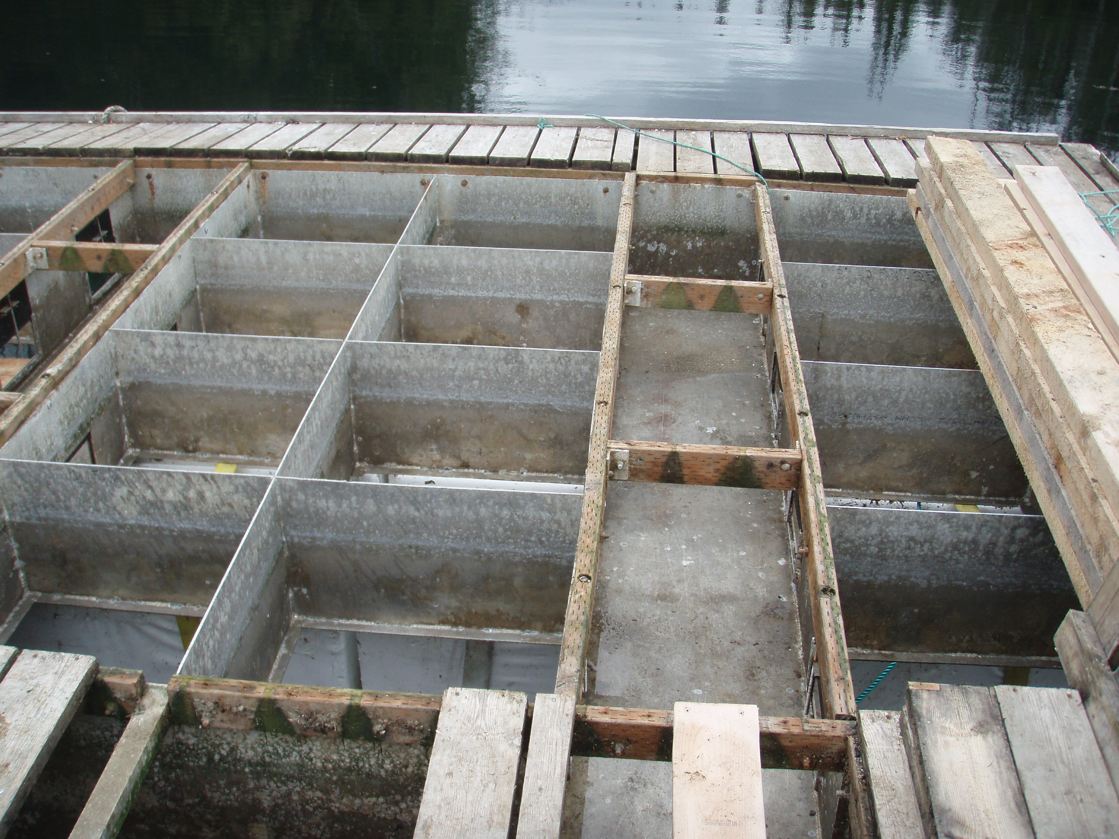 Moving our first FLUPSY in 2013 – Blue Starr Oyster Co.